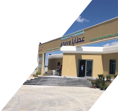 Ataya Cause | Ataya in Years